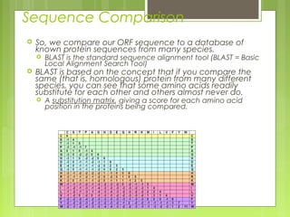 Bioinformatics | PPT
