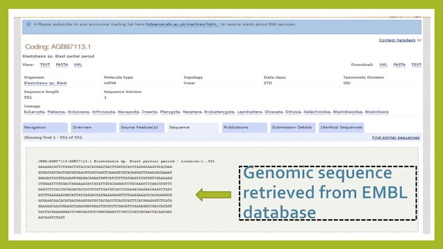 Nucleic Acid Sequence Databases | PPTX | Databases | Computer Software and Applications