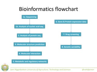 Bioinformatics | PPT