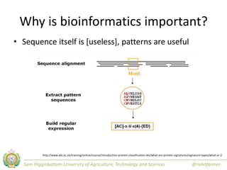Bioinformatics | PPT