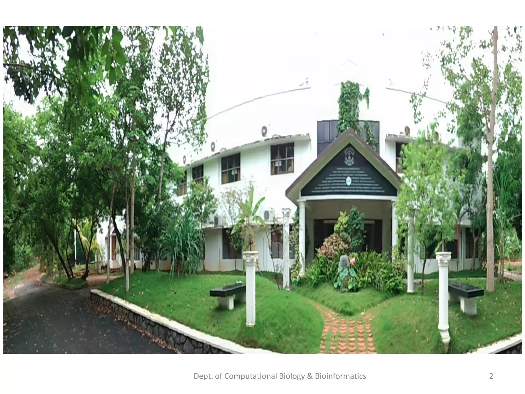 Bioinformatics (Exam point of view) | PPT