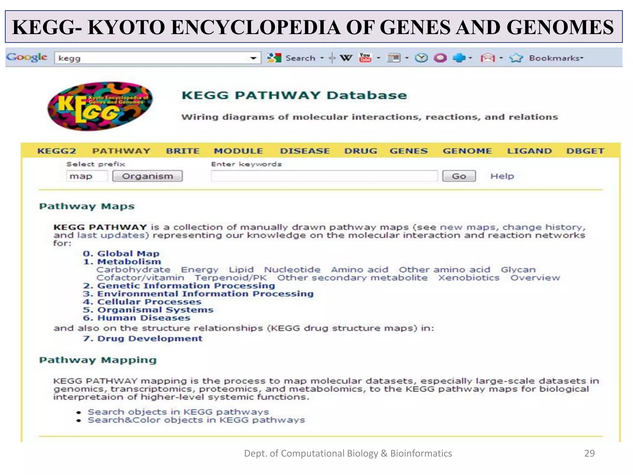 Bioinformatics (Exam point of view) | PPT