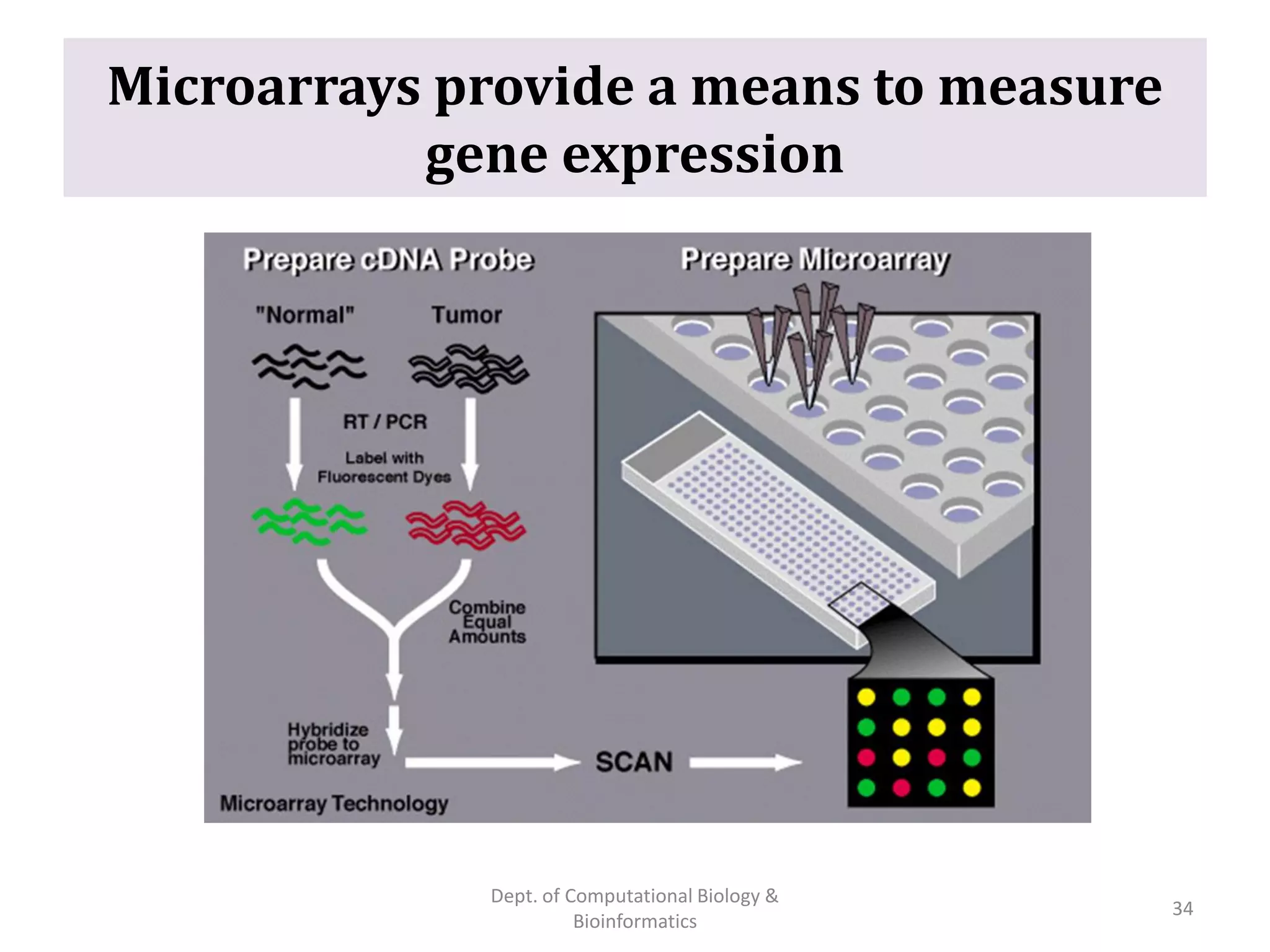 Bioinformatics (Exam point of view) | PPT