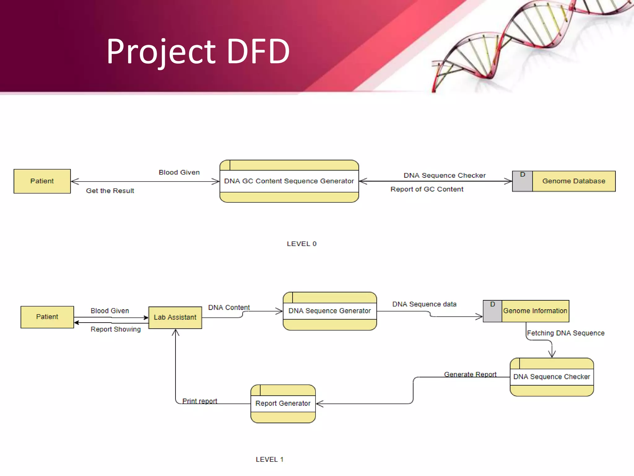 Calculating GC Content Of a Human Genome | Bioinformatics | PPTX