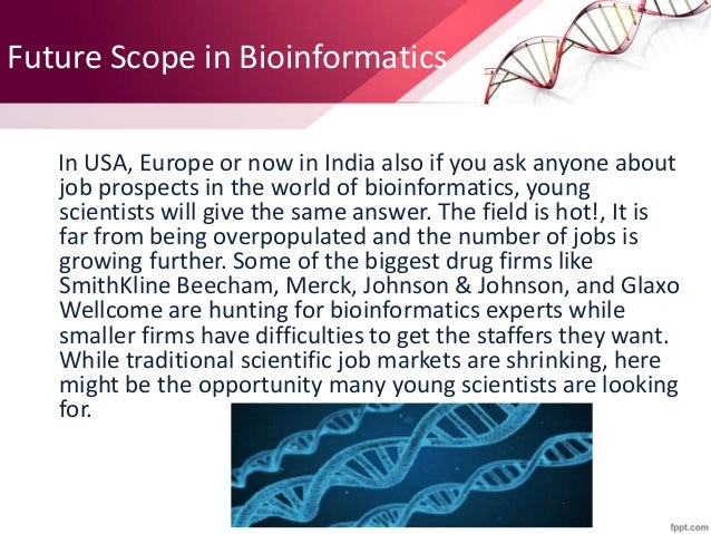 Calculating Gc Content Of A Human Genome Bioinformatics 