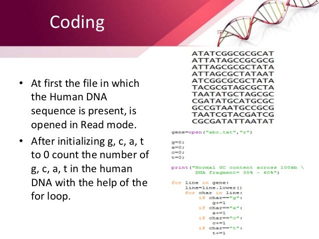 Calculating GC Content Of a Human Genome | Bioinformatics