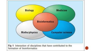 Introduction to Bioinformatics | PPT