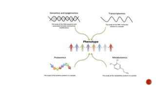 STRUCTURAL GENOMICS, FUNCTIONAL GENOMICS, COMPARATIVE GENOMICS | PPTX