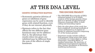 STRUCTURAL GENOMICS, FUNCTIONAL GENOMICS, COMPARATIVE GENOMICS | PPTX