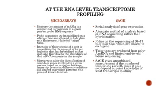 STRUCTURAL GENOMICS, FUNCTIONAL GENOMICS, COMPARATIVE GENOMICS | PPTX