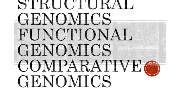 Structural Genomics Functional Genomics Comparative Genomics