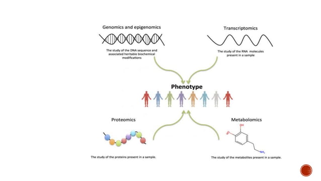 Structural Genomics Functional Genomics Comparative Genomics