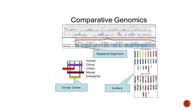 STRUCTURAL GENOMICS, FUNCTIONAL GENOMICS, COMPARATIVE GENOMICS STRUCTURAL GENOMICS, FUNCTIONAL GENOMICS, COMPARATIVE GENOMICS