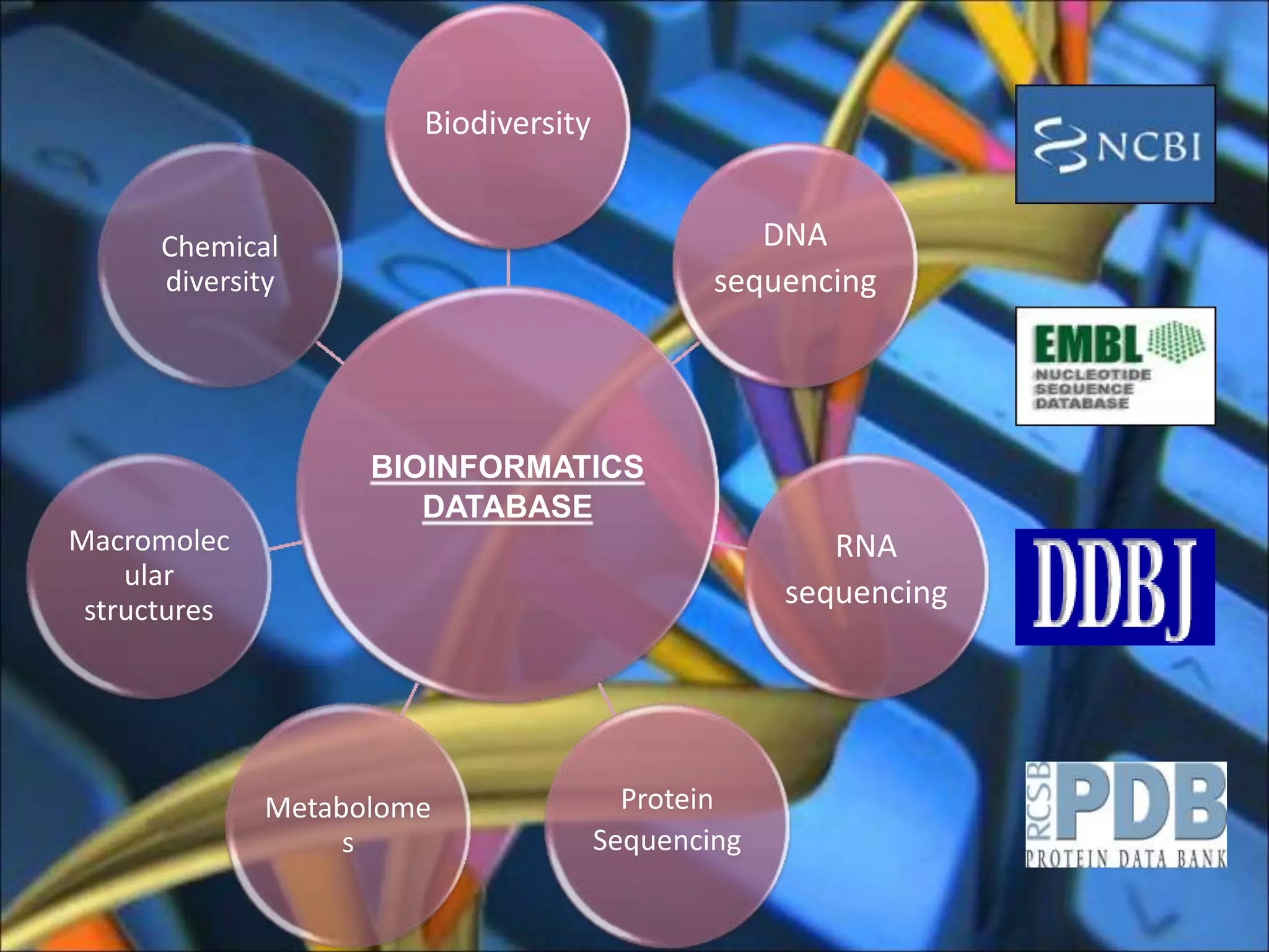 Bioinformatics, its application main | PPT