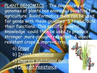 Bioinformatics, its application main | PPT
