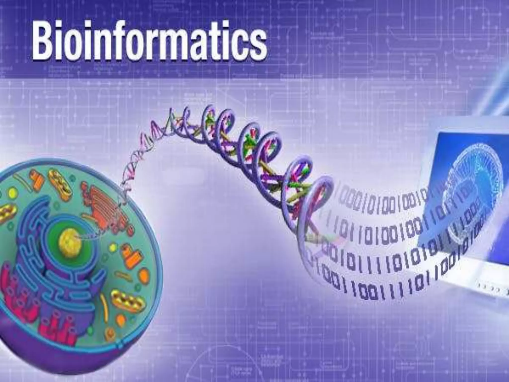 Bioinformatics | PPTX