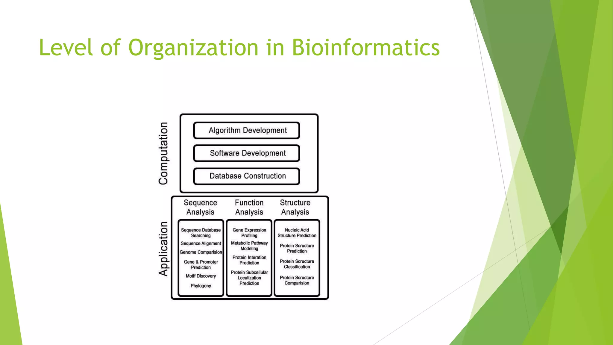 introduction of Bioinformatics | PPTX