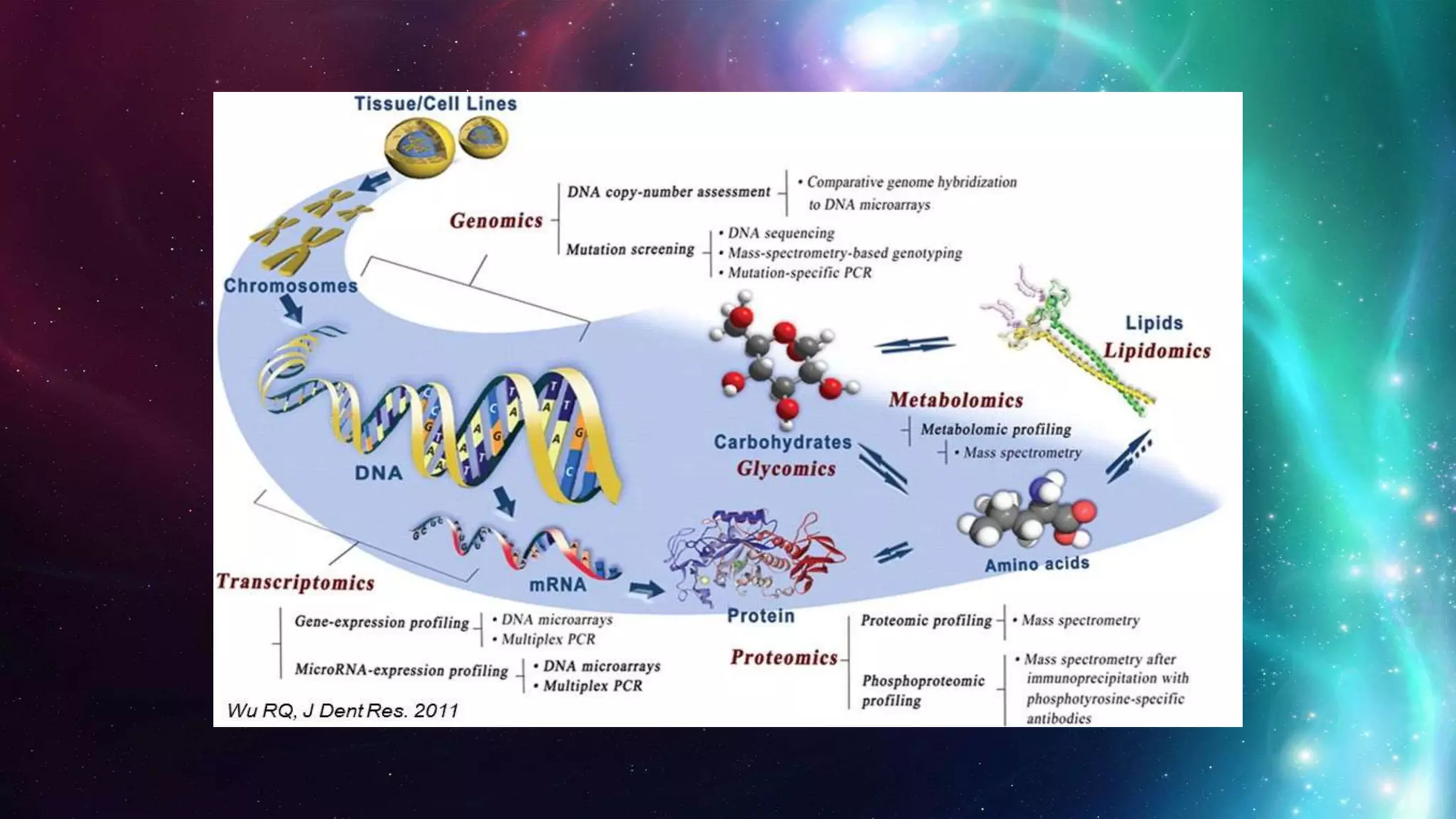 BioInformatics Tools -Genomics , Proteomics and metablomics | PPTX ...