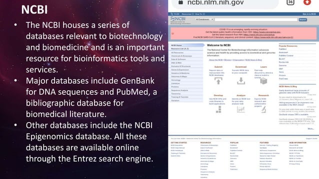 BioInformatics Tools -Genomics , Proteomics and metablomics | PPTX | Databases | Computer ...