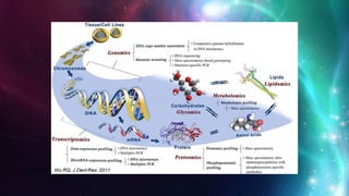 BioInformatics Tools -Genomics , Proteomics and metablomics | PPTX | Databases | Computer ...