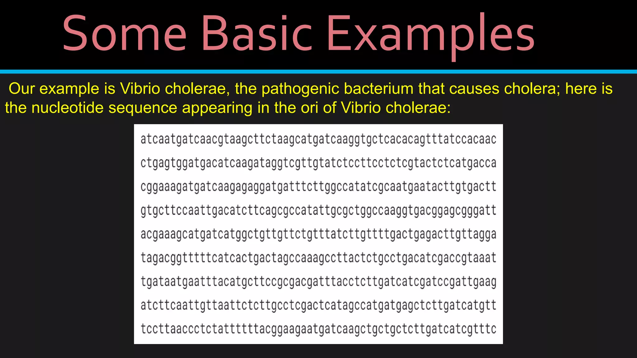 Bioinformatics | PPT