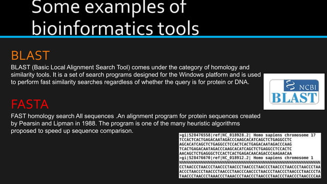 Bioinformatics | PPT