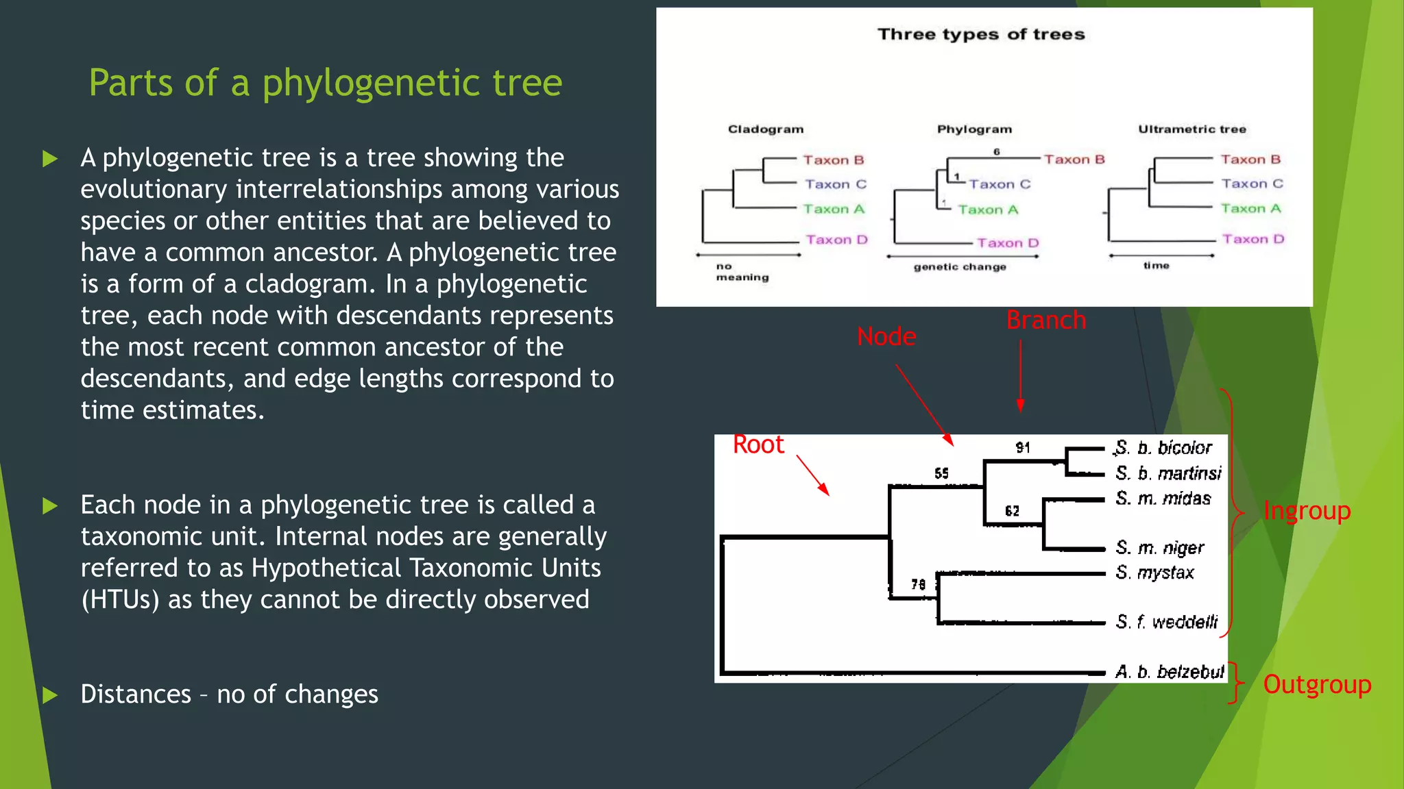 Bioinformatics | PPTX