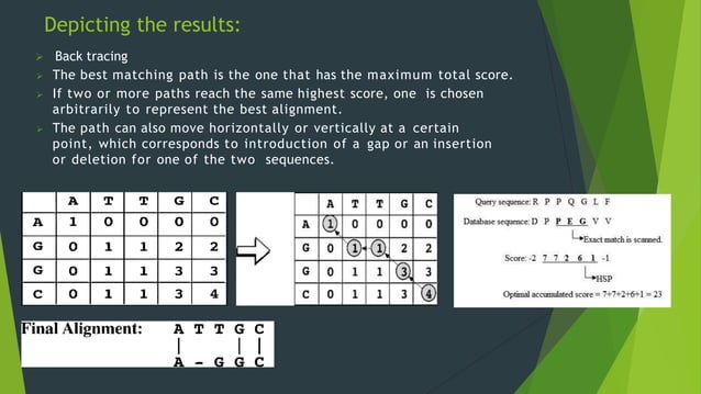 Bioinformatics | PPTX