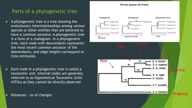 Bioinformatics | PPTX
