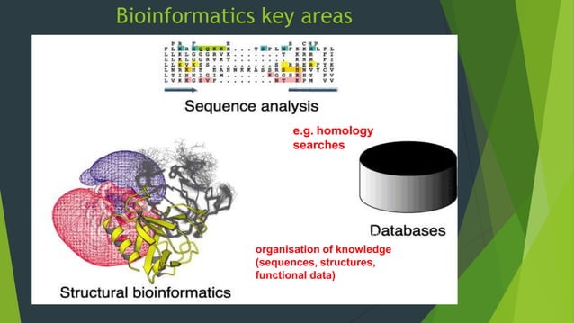 Bioinformatics | PPTX