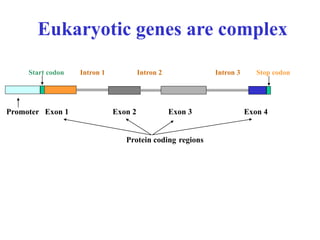 BIOINFORMATICS.ppt