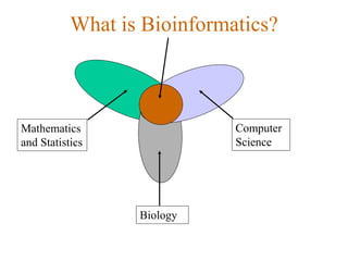 BIOINFORMATICS.ppt