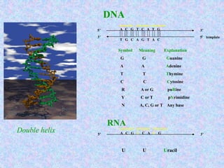BIOINFORMATICS.ppt