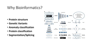 BioInformatics.pptx