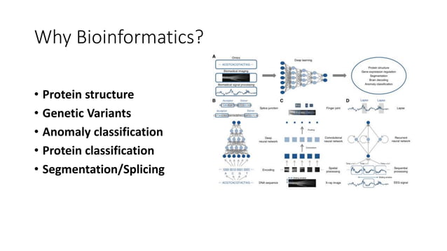 BioInformatics.pptx