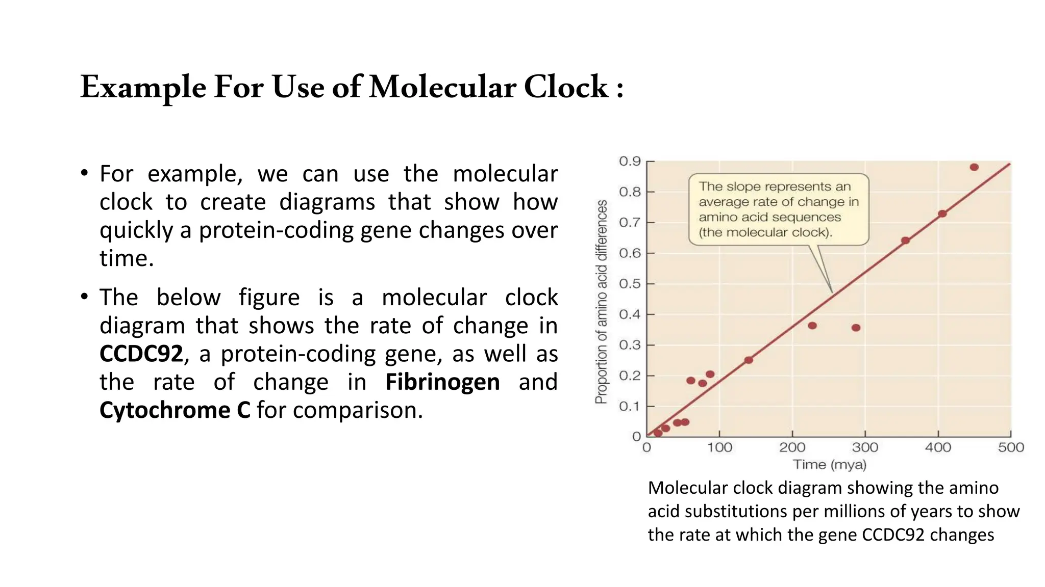 Molecular phylogeny, molecular clock hypothesis, molecular evolution ...