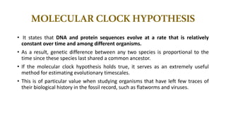 Molecular phylogeny, molecular clock hypothesis, molecular evolution ...