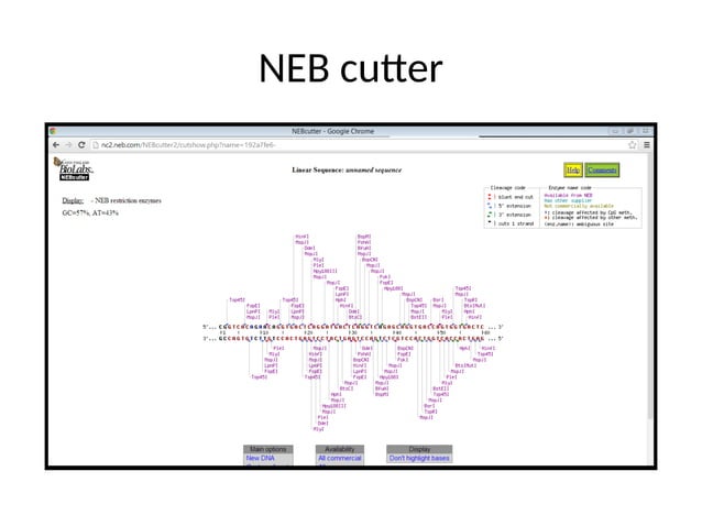 Bioinformatics And Data Analysis Ppt 202 Ppt