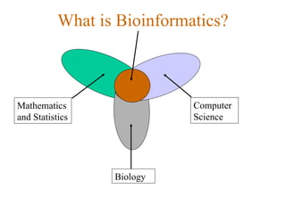 BIOINFORMATICS.ppt History and applications | PPT