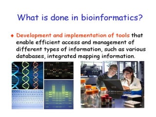 Bio informatics importance types applications | PPTX