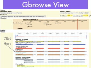 Bioinformatics and BioPerl | PPT