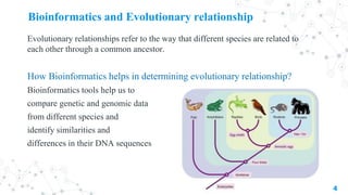 Bioinformatics- Binaya&Suyog (1).pptx