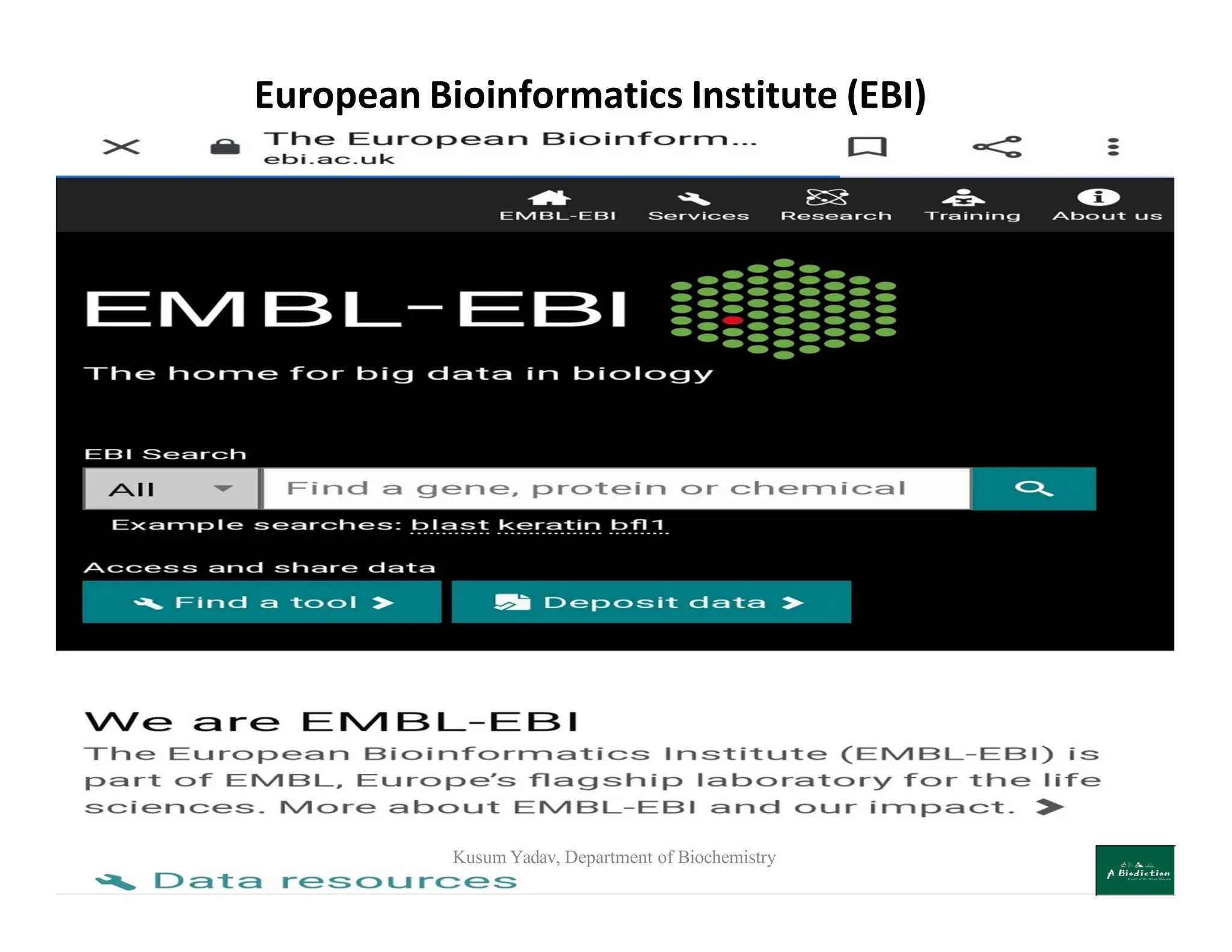 Bioinformatics: History of Bioinformatics, Components of Bioinformatics ...