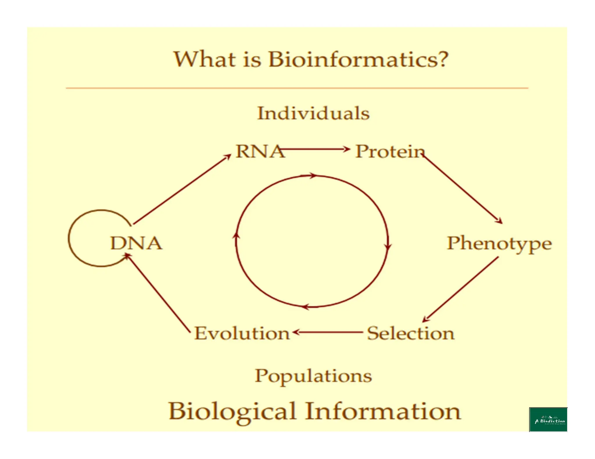 Bioinformatics: History of Bioinformatics, Components of Bioinformatics ...