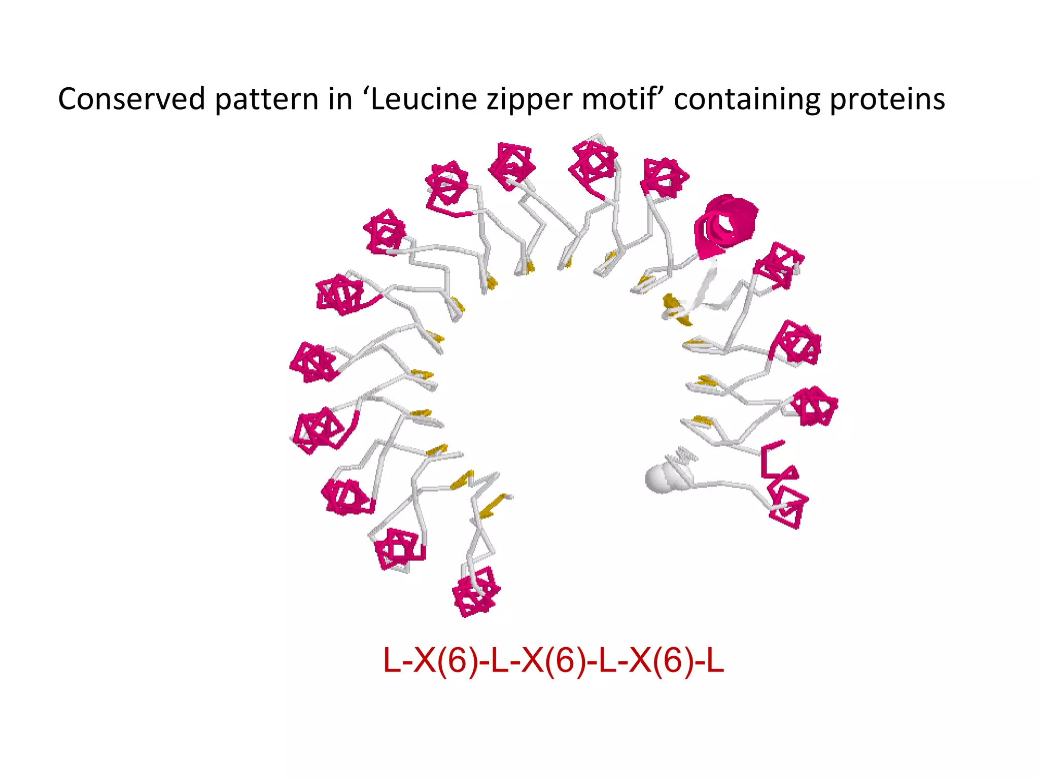 Bioinformatics Lecture Xxi Ppt