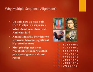 Bioinformatics lesson | PPT