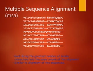 Bioinformatics lesson | PPT