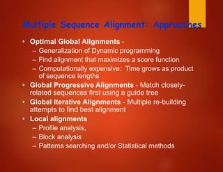 Bioinformatics lesson | PPT