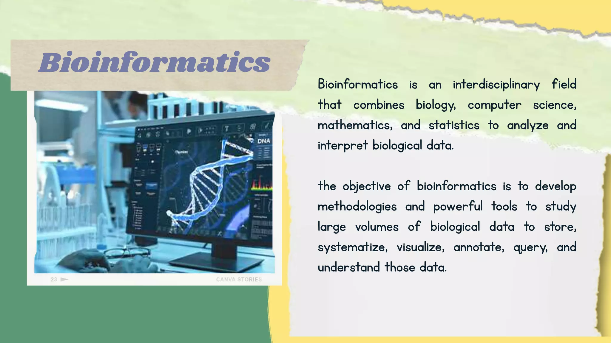 BIOINFORMATICS-REPORT.pptx