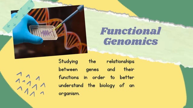 BIOINFORMATICS-REPORT.pptx